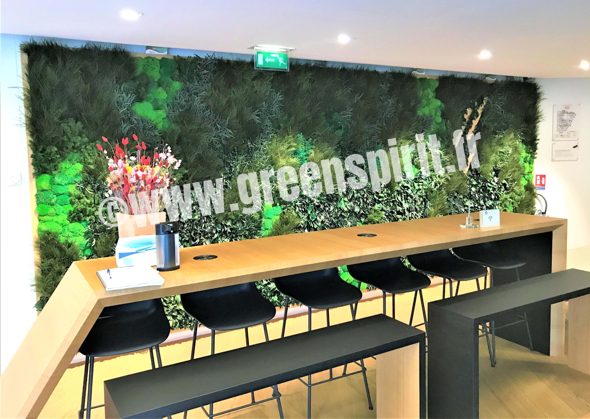 Mur végétal stabilisé - Green Spirit, Saint Malo