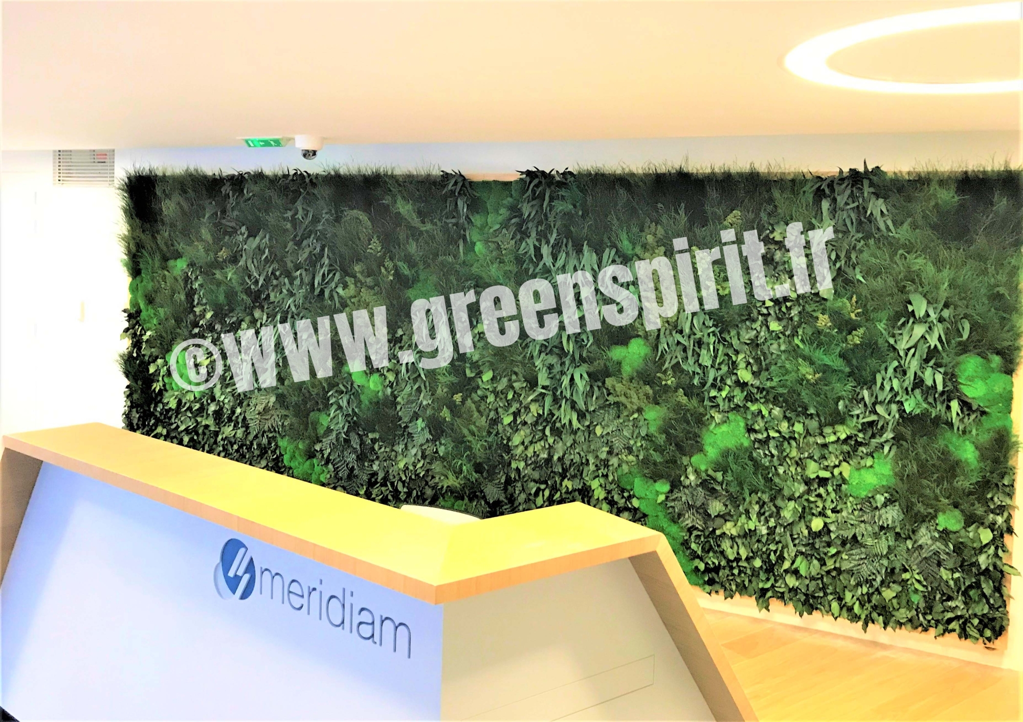 Mur végétal stabilisé - Green Spirit, Saint Malo